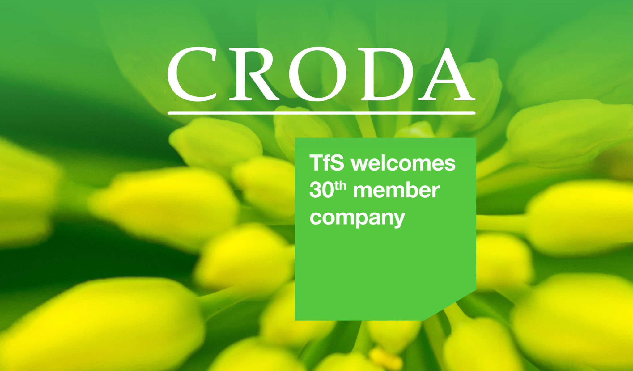 Croda joins the Together for Sustainability initiative on sustainable ...
