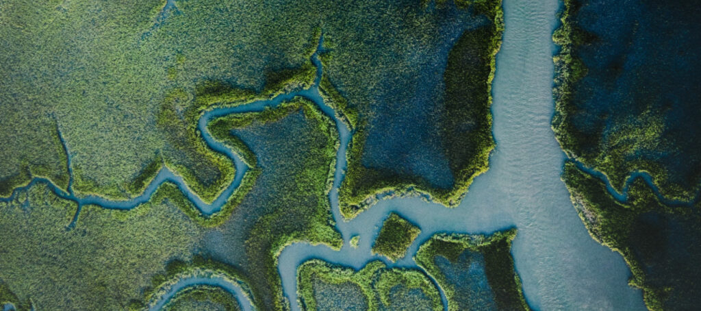 The gold standard PCF Guideline is now complete - TFS Initiative