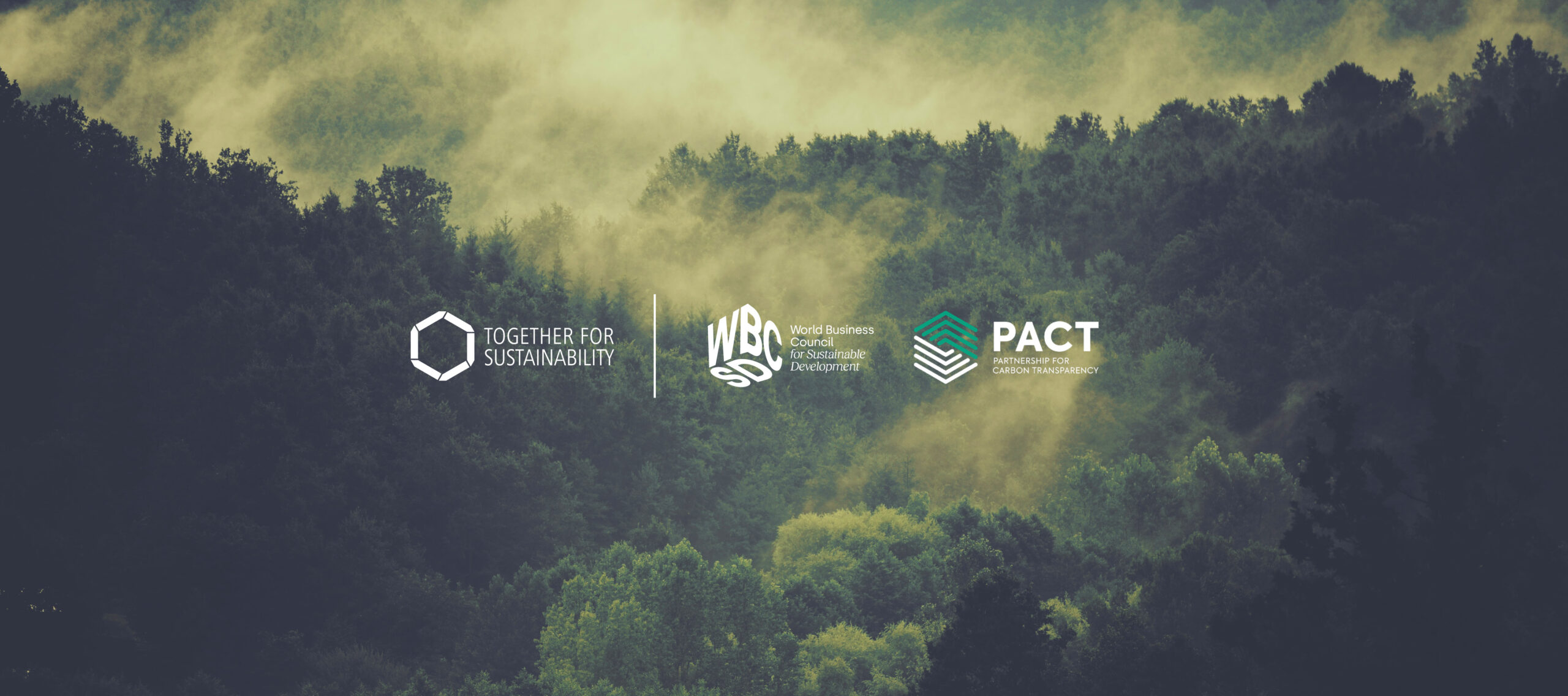 Boost for chemical sector decarbonisation as industry initiative ...